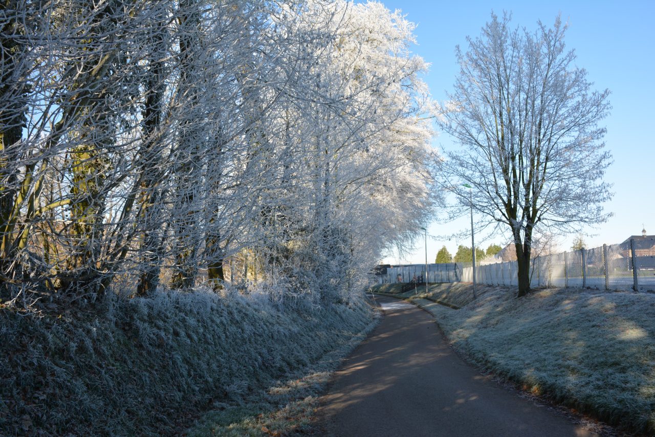 accueil - sandouville.fr